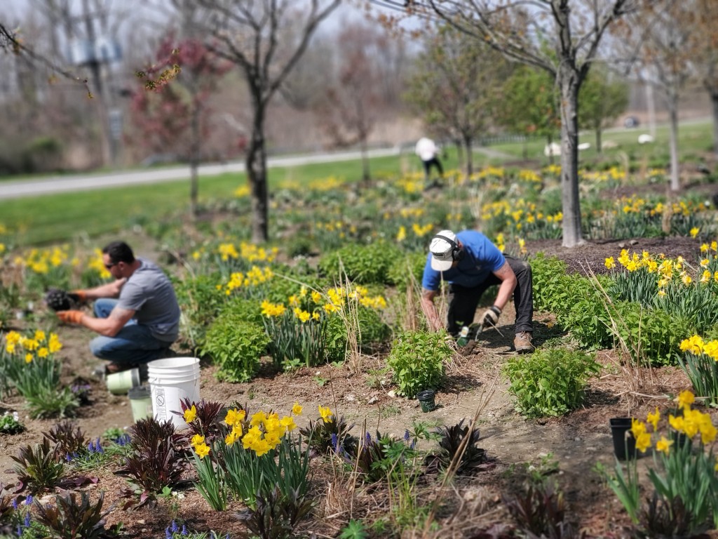 Ecological Landscape Design Installation Extended to Front of Campus ...