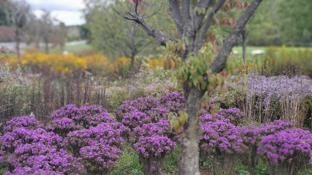 Ecological Landscape Design Installation Extended to Front of Campus ...